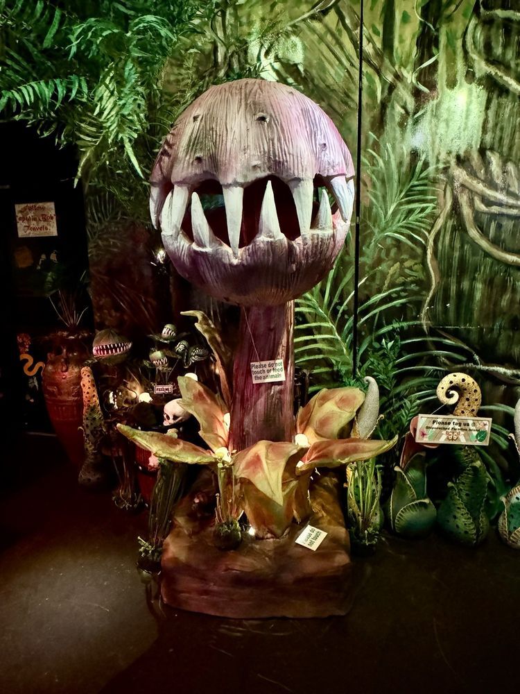 Tiki Bar: Shipwrecked Paradise Island - Sacramento | mytiki.life